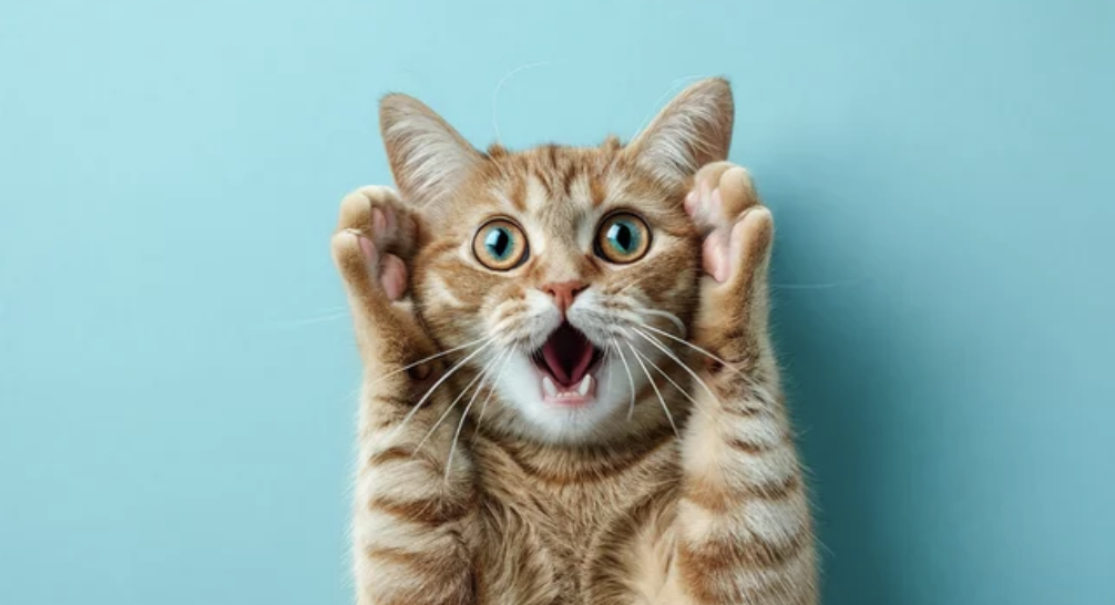 9 Popular Phrases You Might Be Saying WRONG – Strictly Speaking