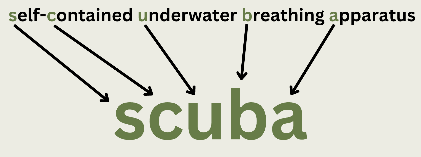 Backronyms: FAKE Acronyms – Strictly Speaking